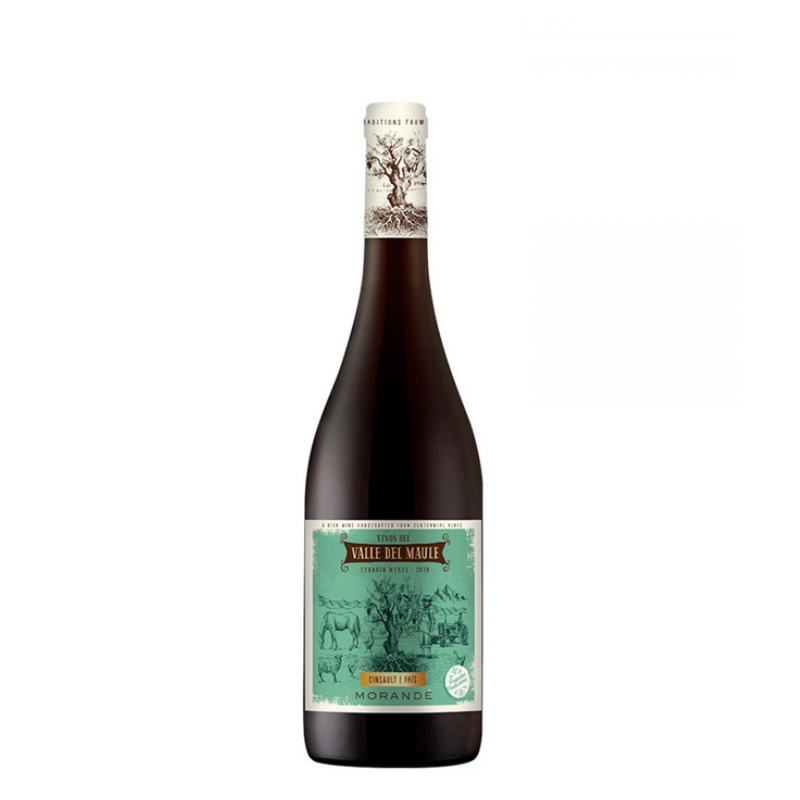 Morandé Terroir Wines País/Cinsault 2024 Valle de Itata – Vide Wines